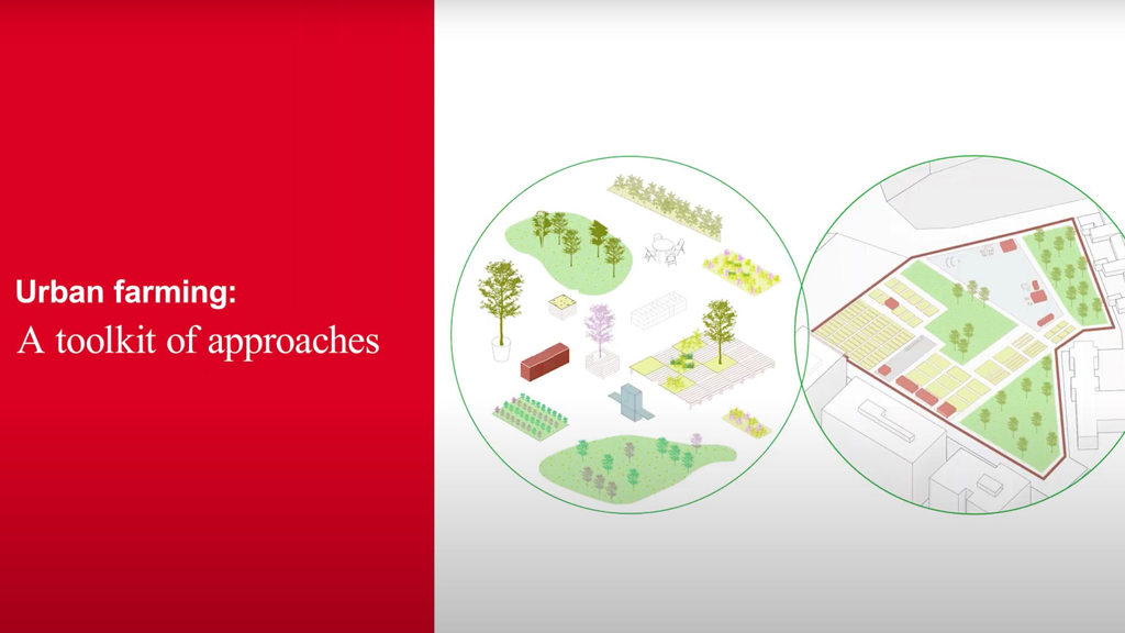 How can urban farming improve city life? | Arup