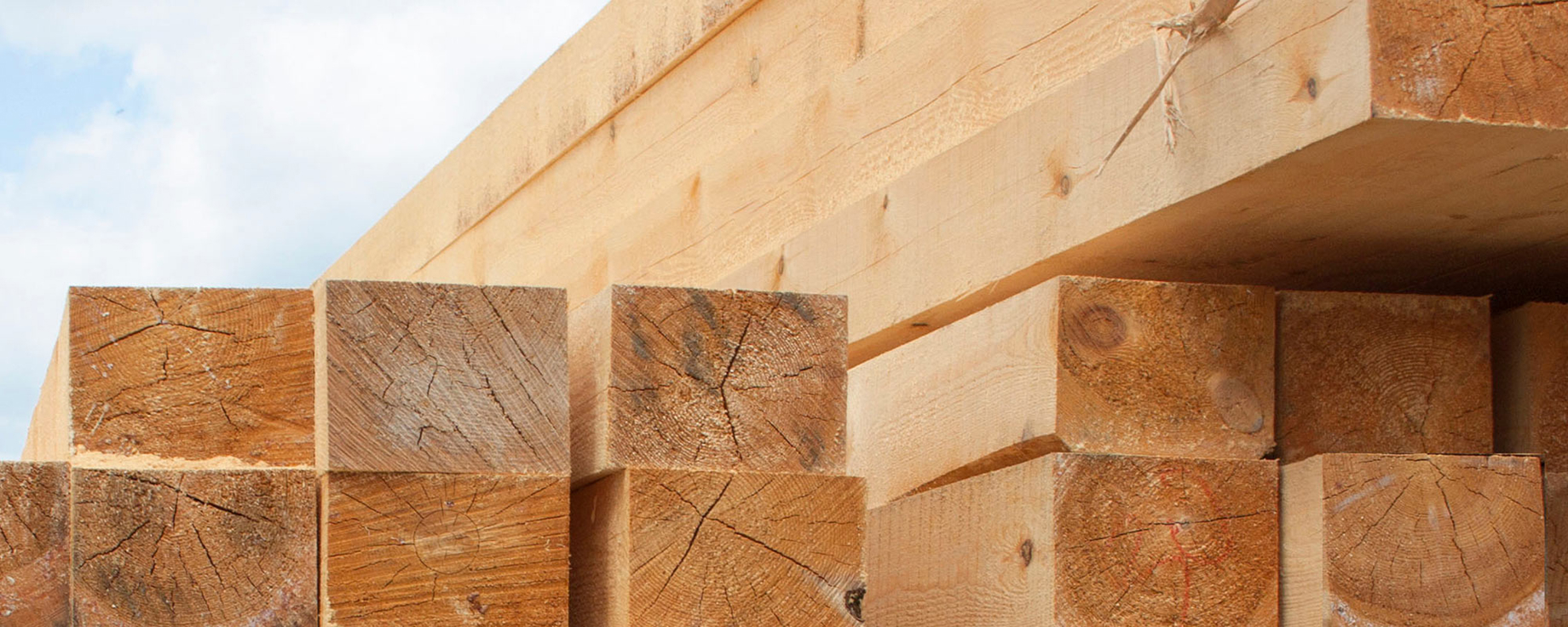 East Africa sustainable timber construction: supply and demand study | Arup