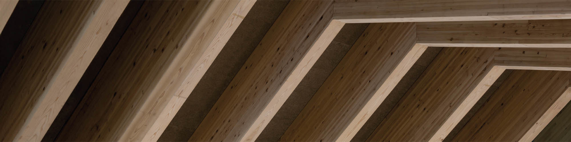 Fire Safe Design of Mass Timber Buildings - Arup