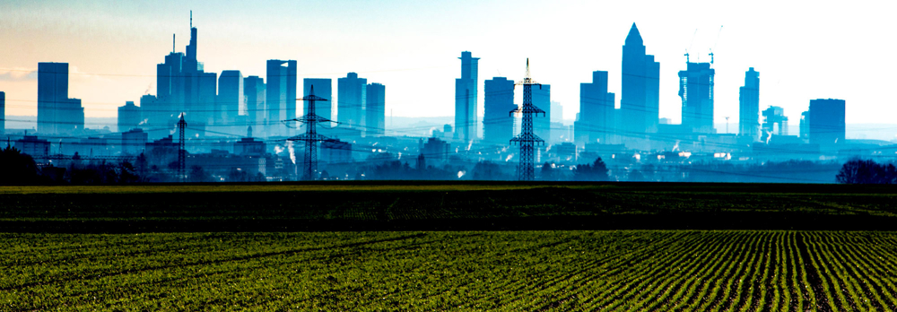 Controlled environment agriculture - Arup