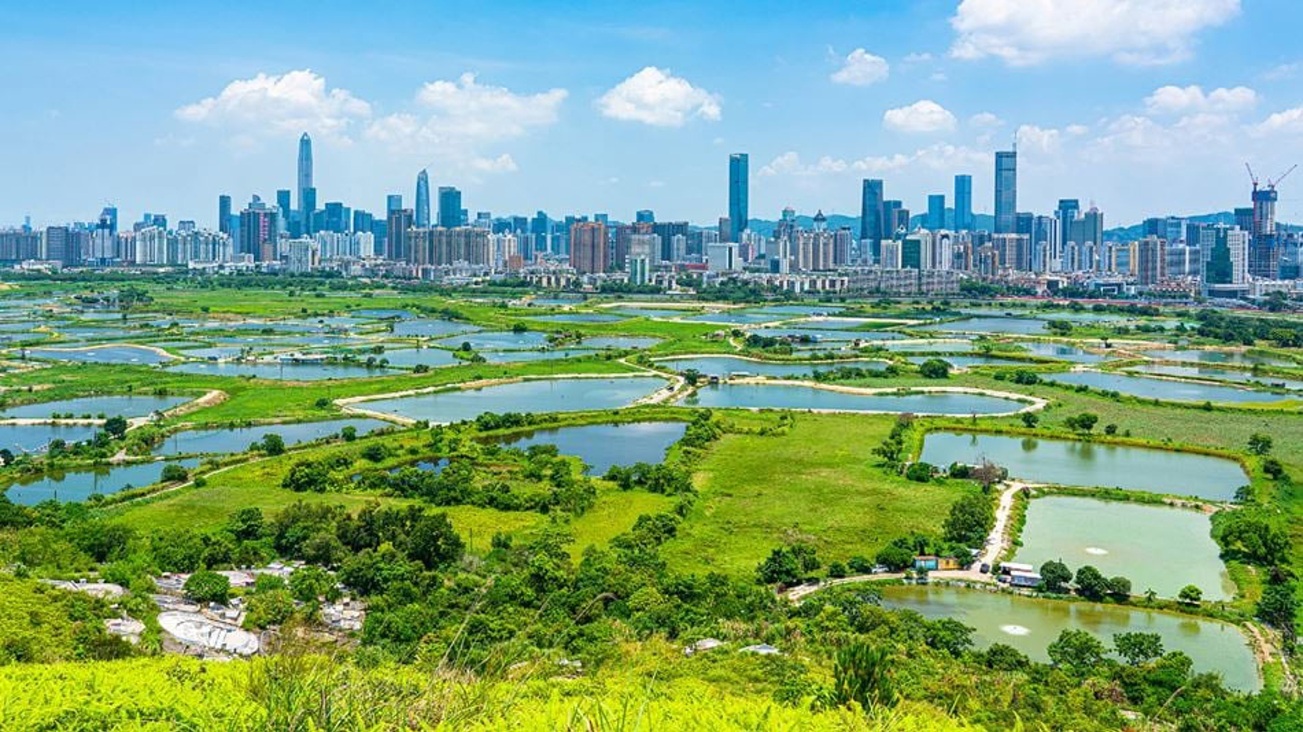 Arup’s Smart-Green-Resilient approach tops prestigious planning award ...