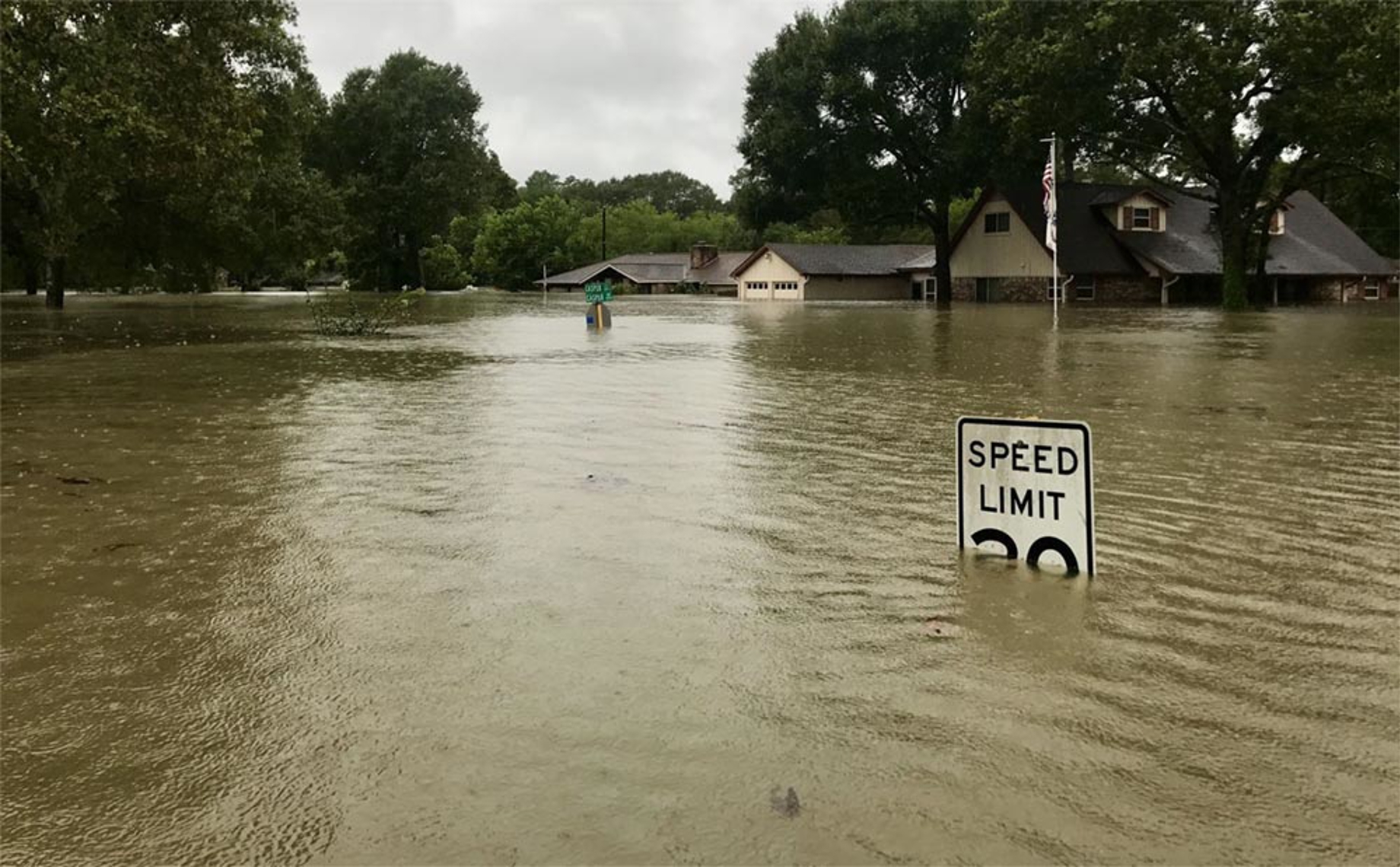 Arup unveils REDi for Flood | Arup