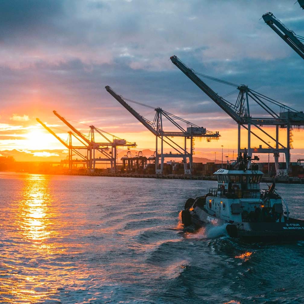 Landmark study demonstrates carbon sequestration potential of rewilding ...