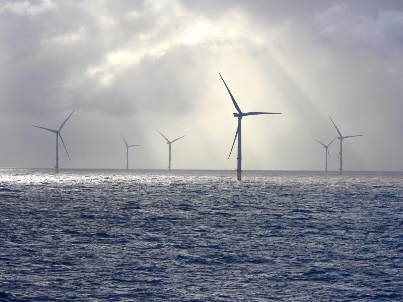 Arup signs MoU with industry leaders to promote nature inclusivity in ...