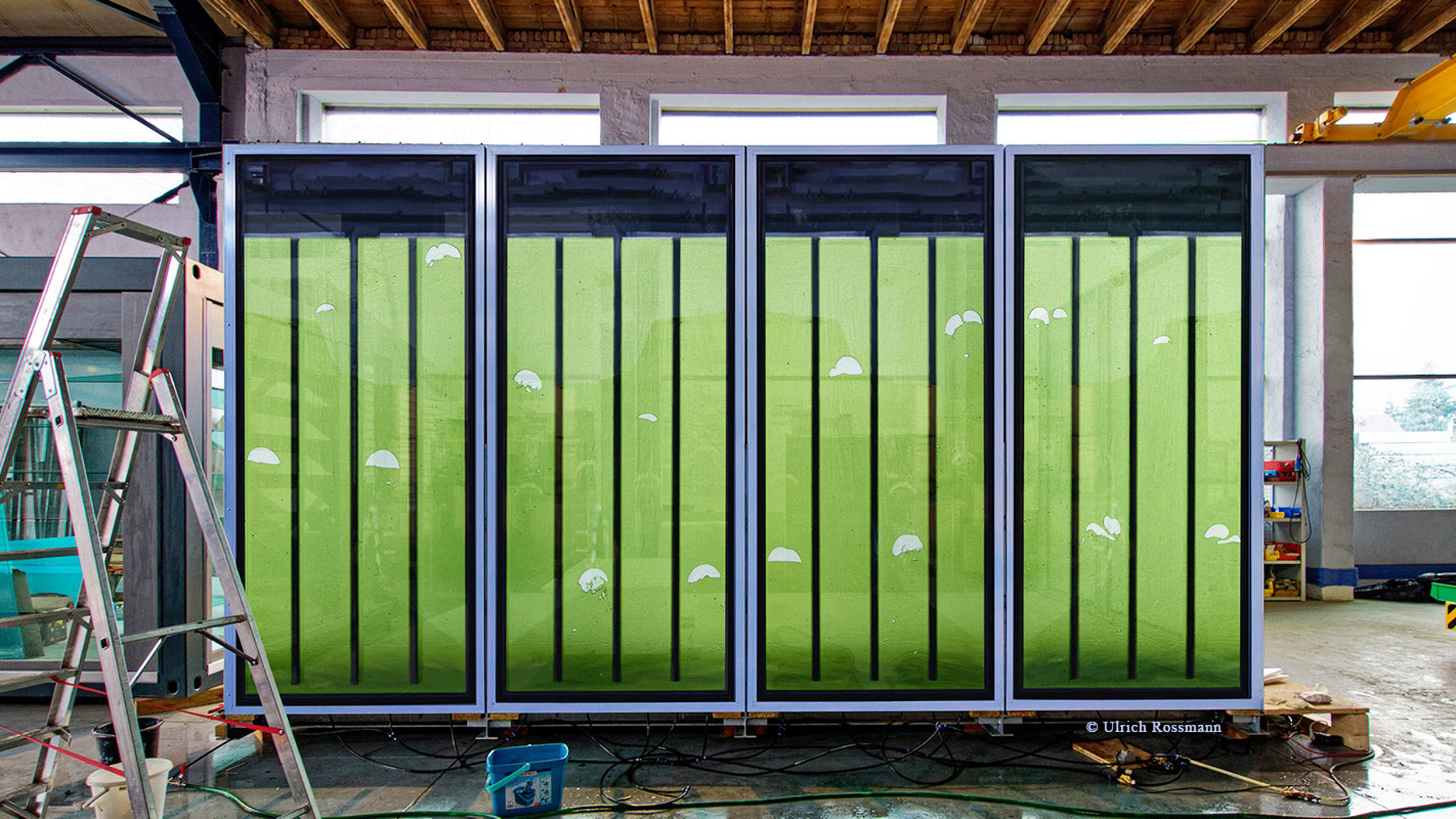 The Bioenergy Façade - Arup