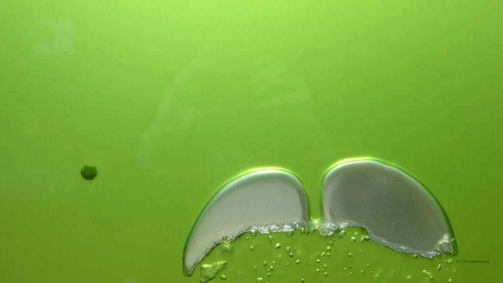 The Bioenergy Façade - Arup