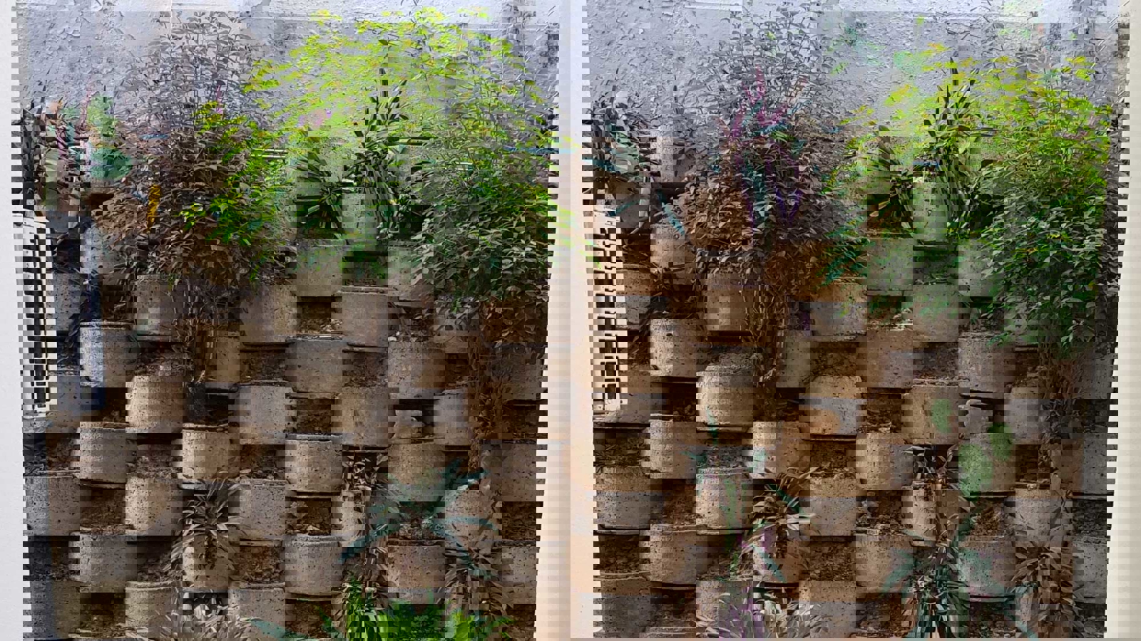 Dar es Salaam urban greening - Arup