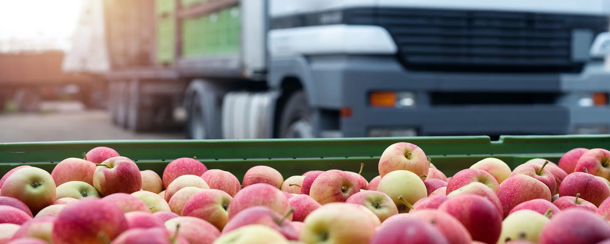 Remote Community Supply Chain Study - Arup