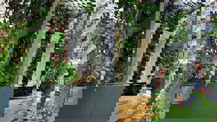 Nature disclosure and biodiversity assessments | Arup