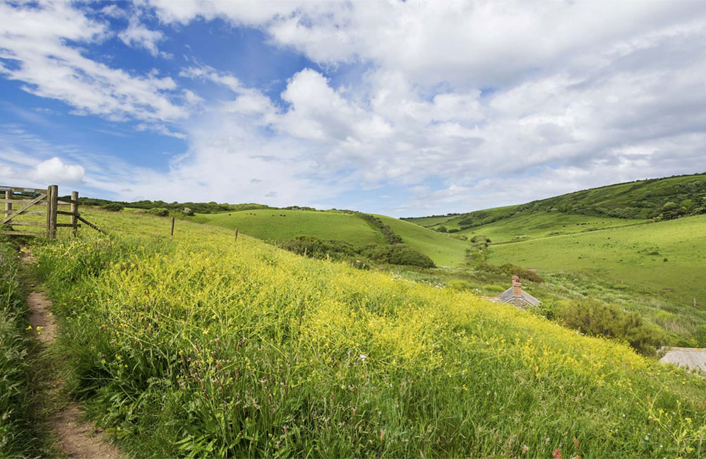 Landscape architecture - Arup