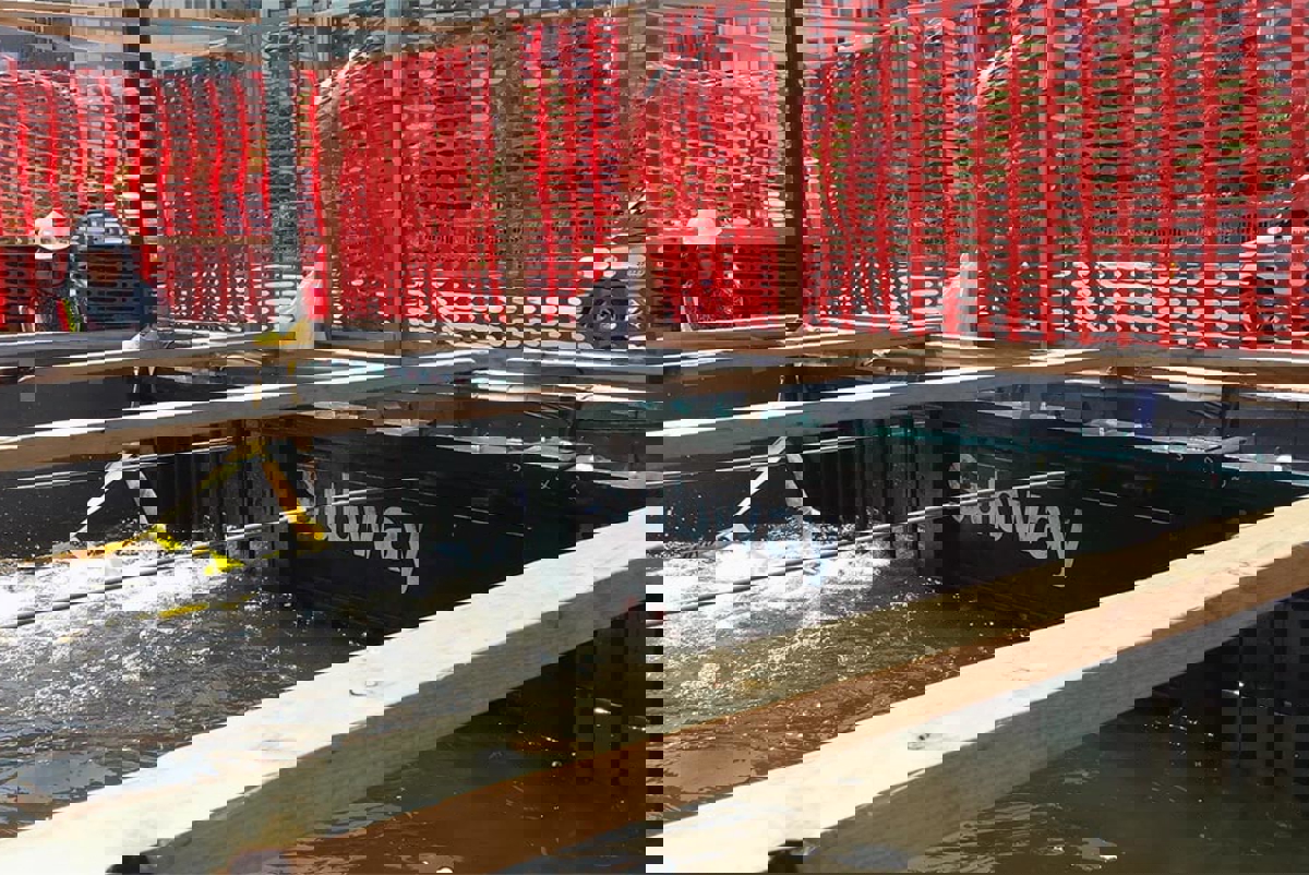 Flood resilience and risk management - Arup